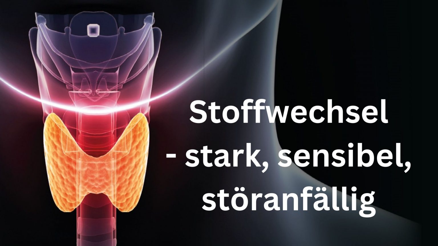 Stoffwechsel – stark, sensibel, störanfällig
